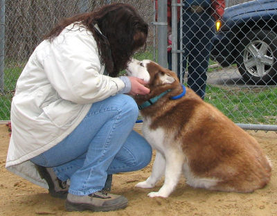 Adopt – petharbor.org