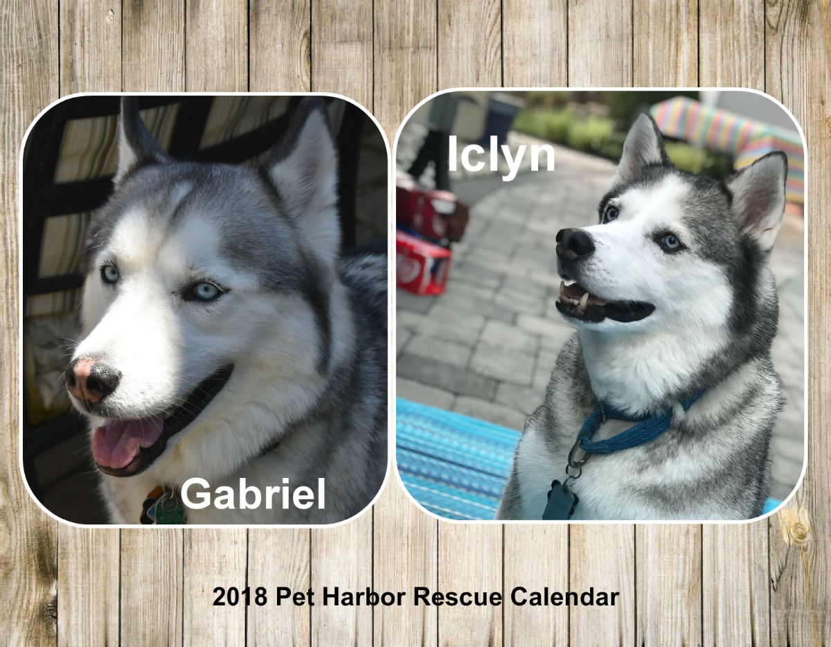 2018 Pet Harbor Rescue Calendar – petharbor.org