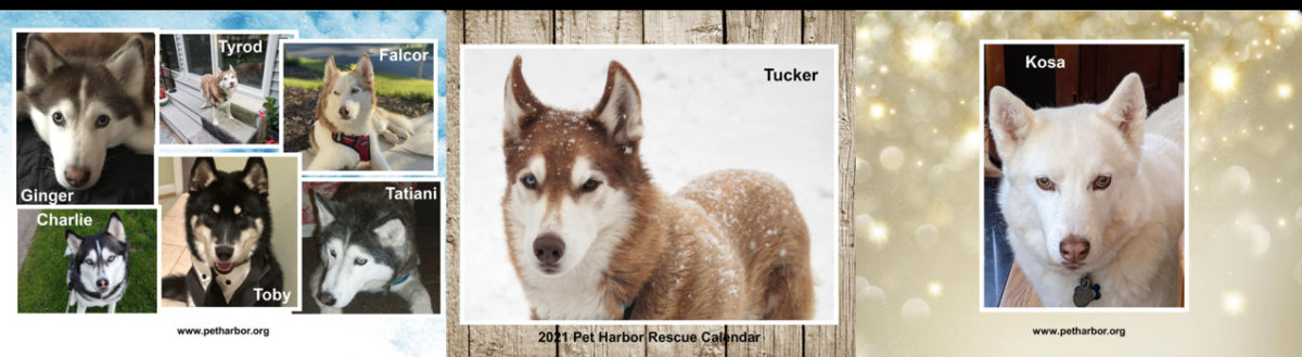 petharbor.org – Pet Harbor Rescue & Referral, Inc.